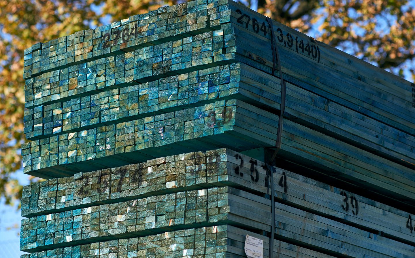 Treated Batten - PremierForest