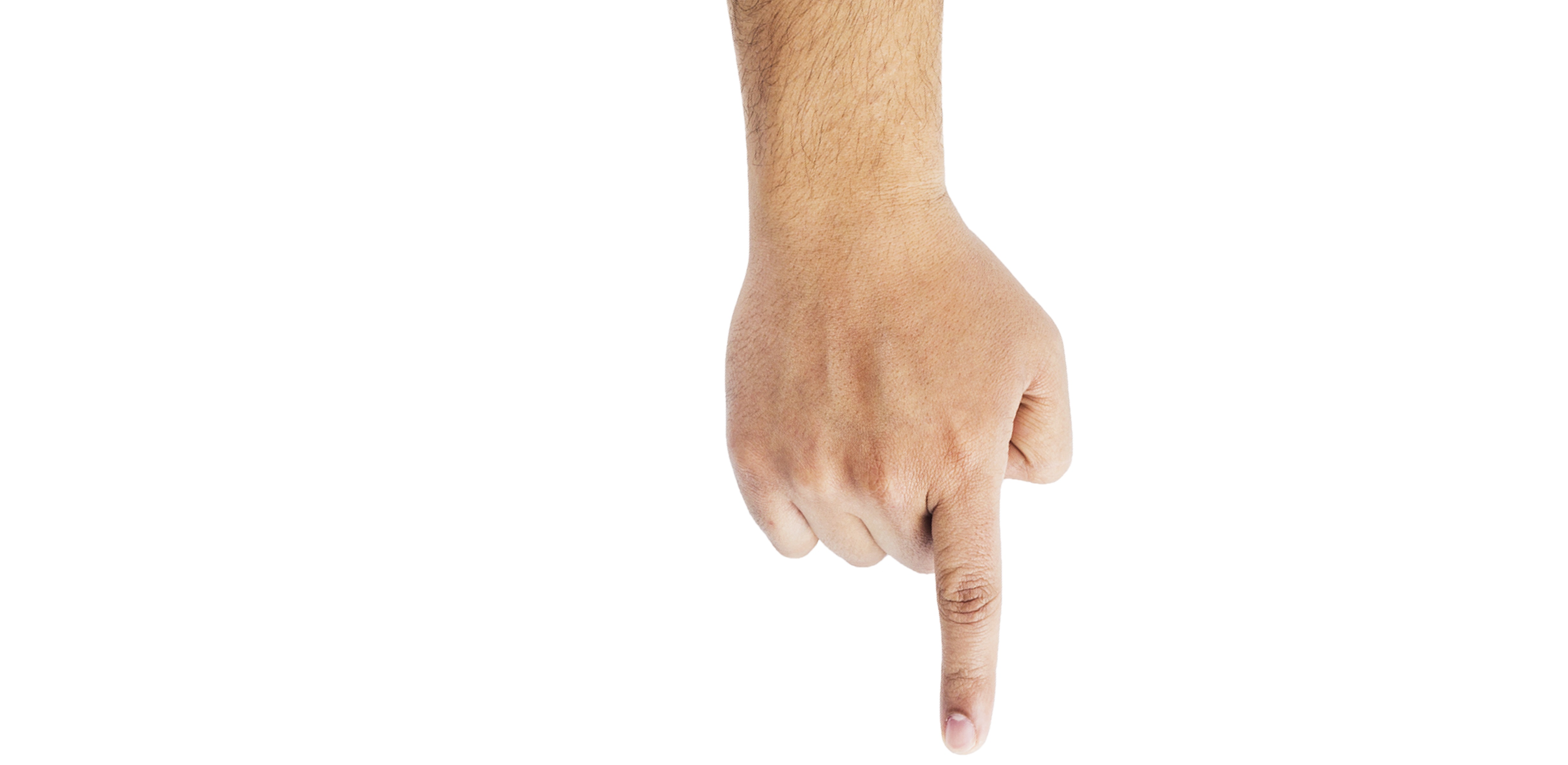 Keep in Touch - PremierForest