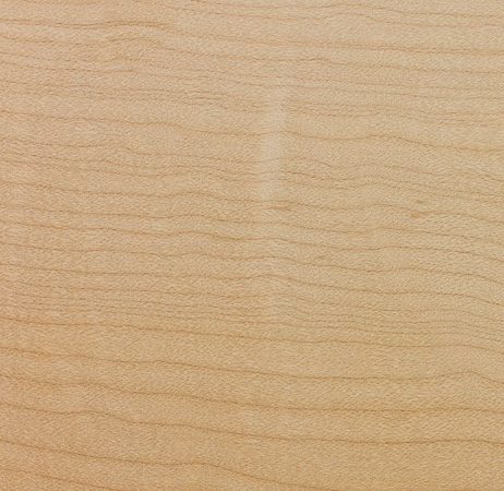 American Hard Maple - PremierForest